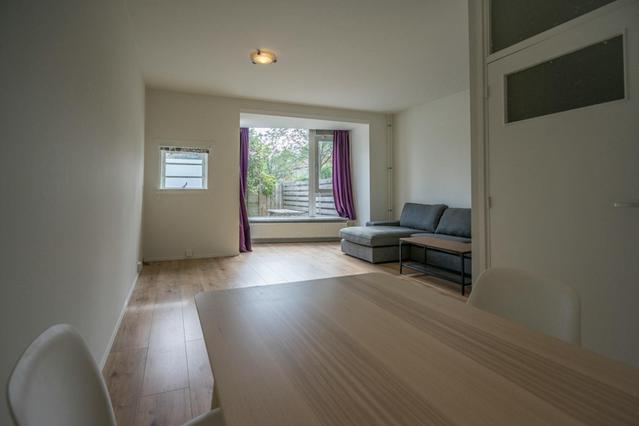 Apartments for Rent in Amsterdam, Netherlands| Nestpick