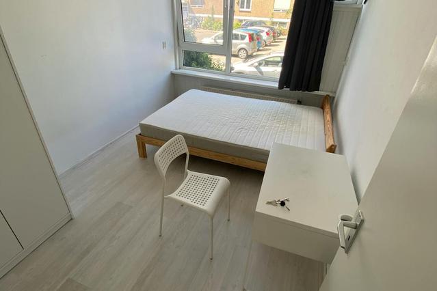 Apartments for Rent in Rotterdam | Nestpick