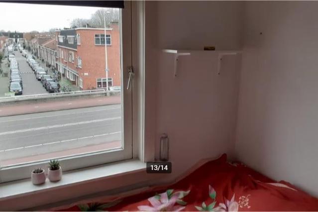 Student Accommodation Utrecht: Cheap Student Housing in Utrecht | Nestpick