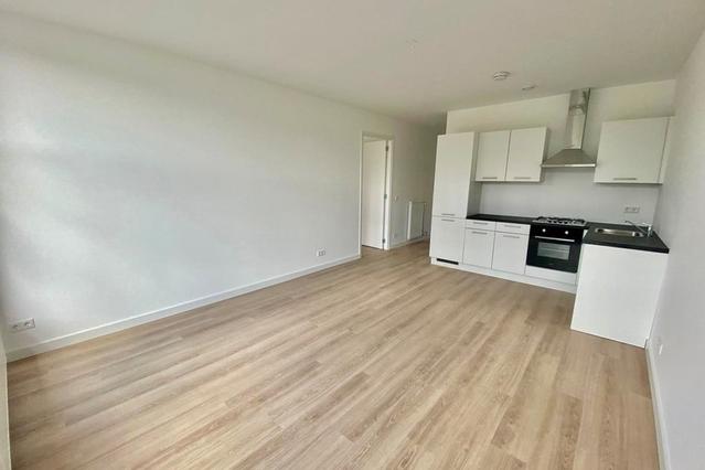 Apartments for Rent in Rotterdam | Nestpick