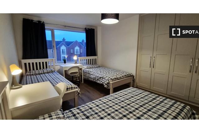 Rooms for Rent in Dublin: Cheap Furnished Rooms to Rent Dublin | Nestpick