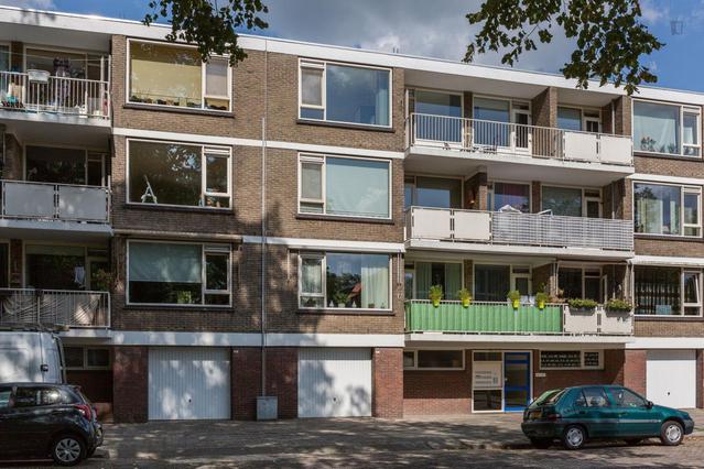 Rotterdam Apartments: Furnished Apartments for Rent in Rotterdam | Nestpick