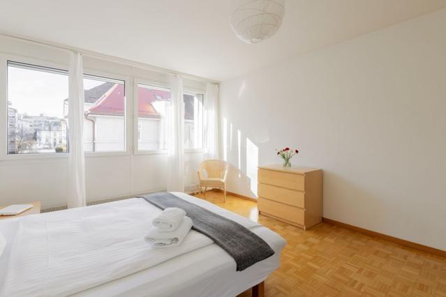 Basel Apartments: Furnished Apartments for Rent in Basel | Nestpick