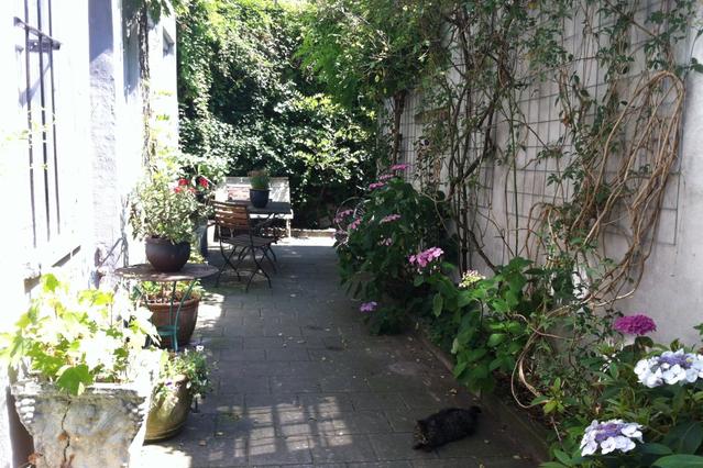 Apartments for Rent in Amsterdam, Netherlands| Nestpick