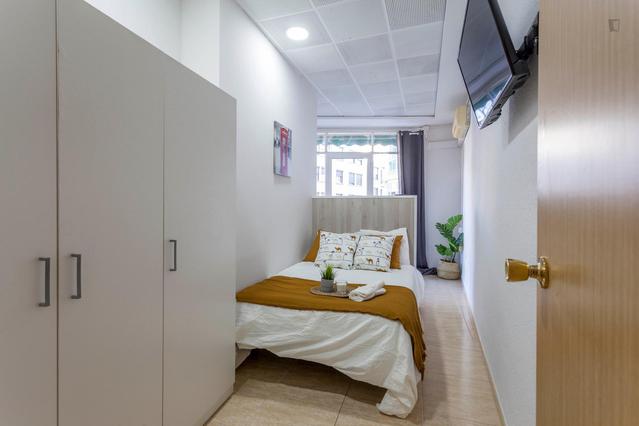 Student Accommodation Valencia: Cheap Student Housing in Valencia ...